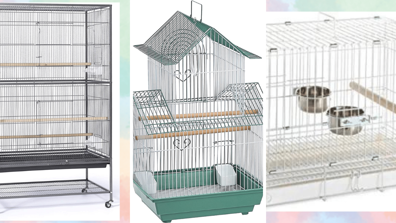 5 Best Bird Cages: Put Your Feathered Friend in a Flockin' Fabulous Home!