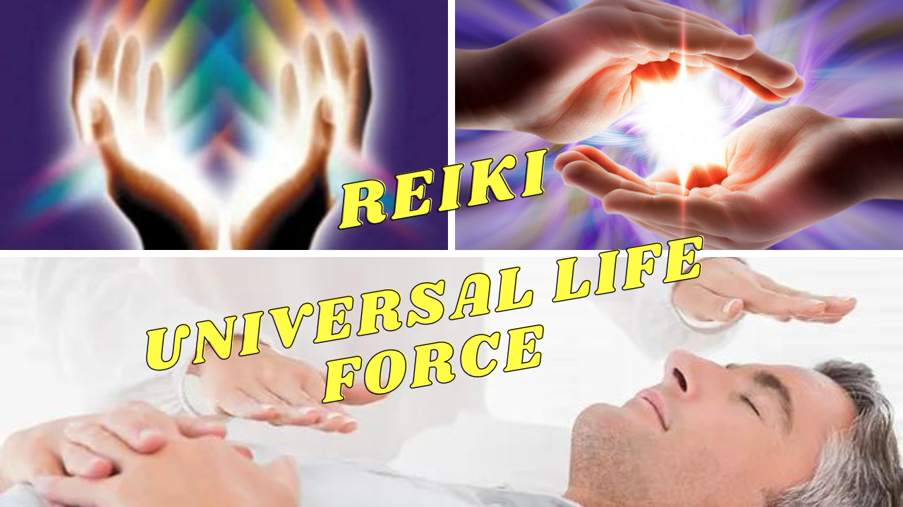 5 Reiki Books That Will Reawaken Your Spiritual Journey!