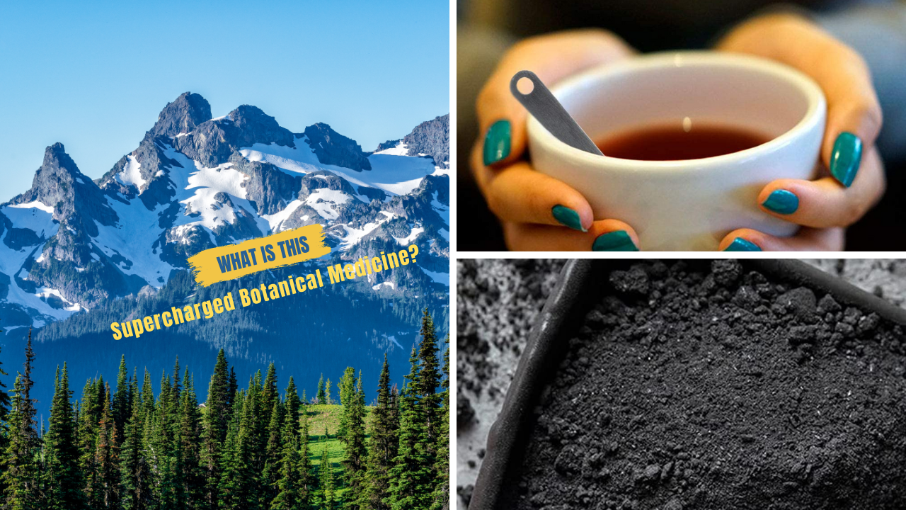Discover the Benefits of Shilajit Powder: What to Look for In a High ...