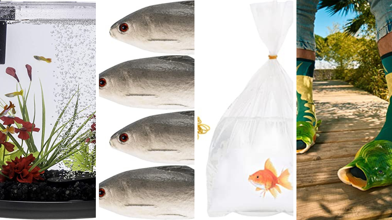 8 Gifts For People Who Have A Thing For Fishes And Swimmers