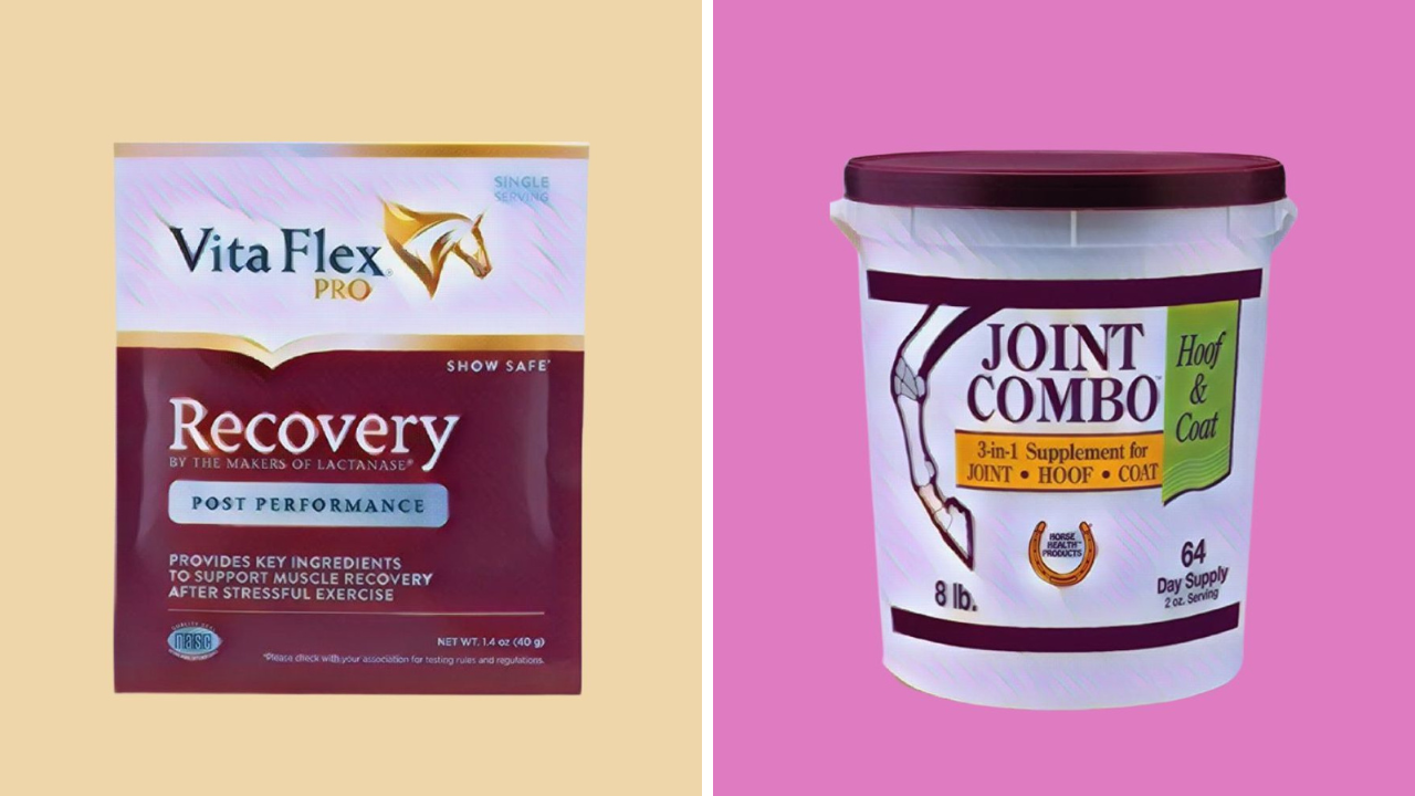 Best Joint Supplement for Horses : We've Rounded Up The Top 5!