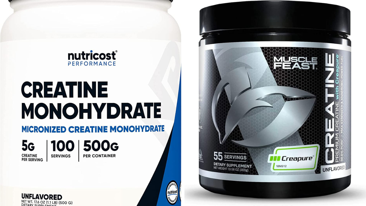 9 Best Creatine Powders For Maximum Energy & Strength