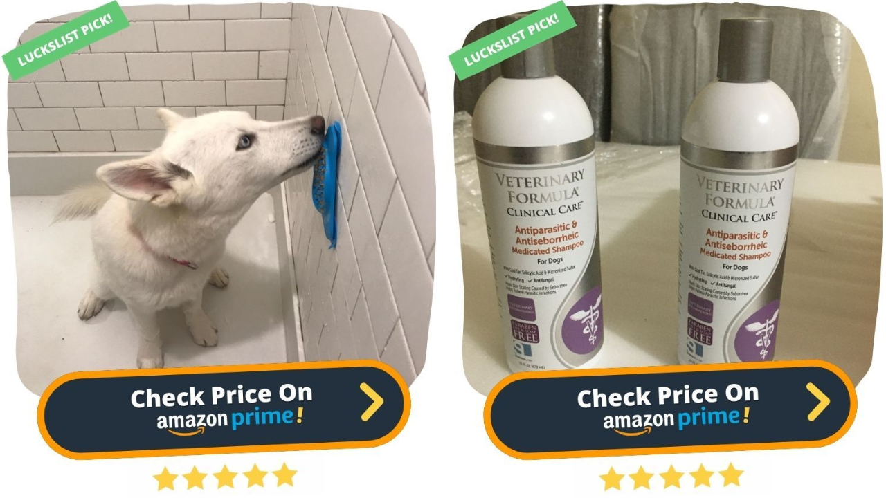 21 Amazon Dog Products That's Sure To Impress You As A Dog Owner