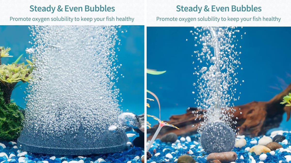 Revealed: The 5 Best Airstones For Aquariums - Get Ready To See Some ...