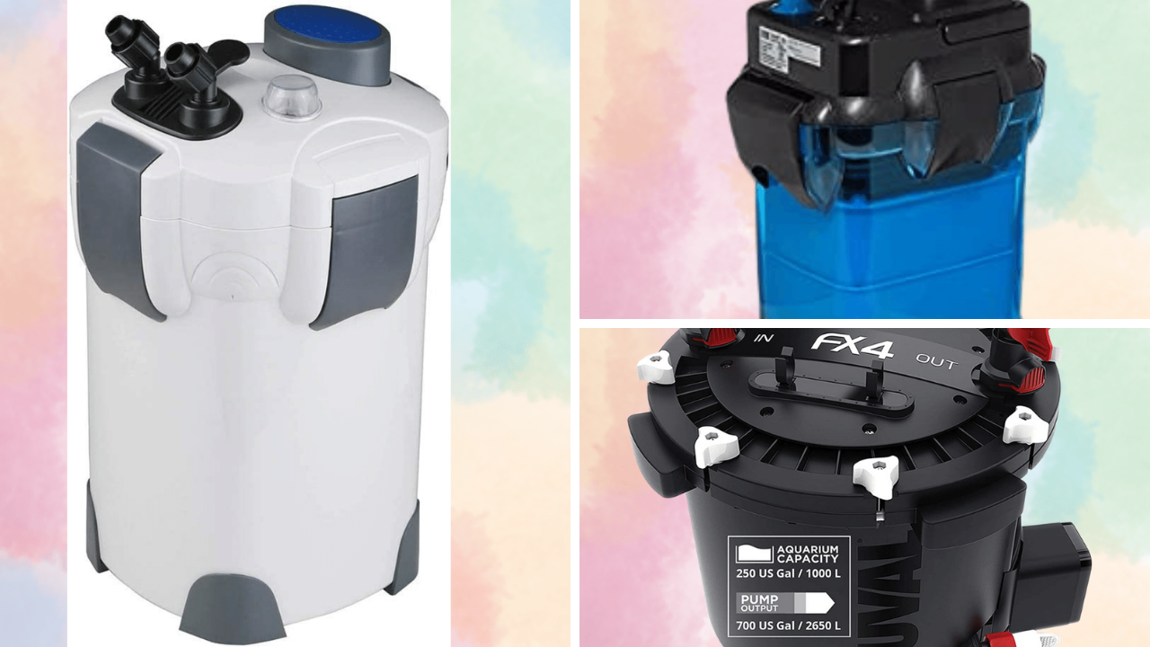 5 Best Canister Filters For a 75-Gallon Aquarium: Keep Your Fishy ...