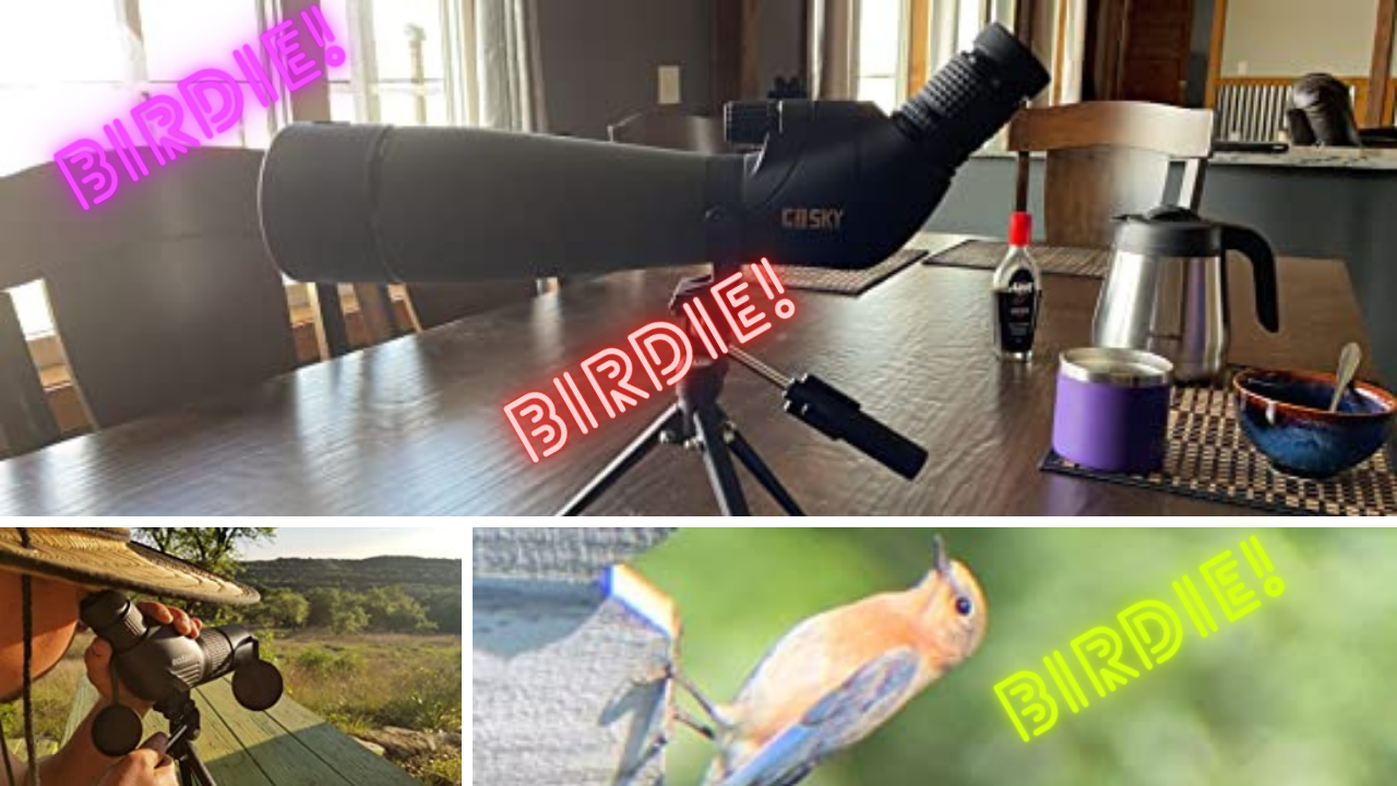 Finding Your Perfect Bird's Eye View: Testing Out the Top 5 Best ...