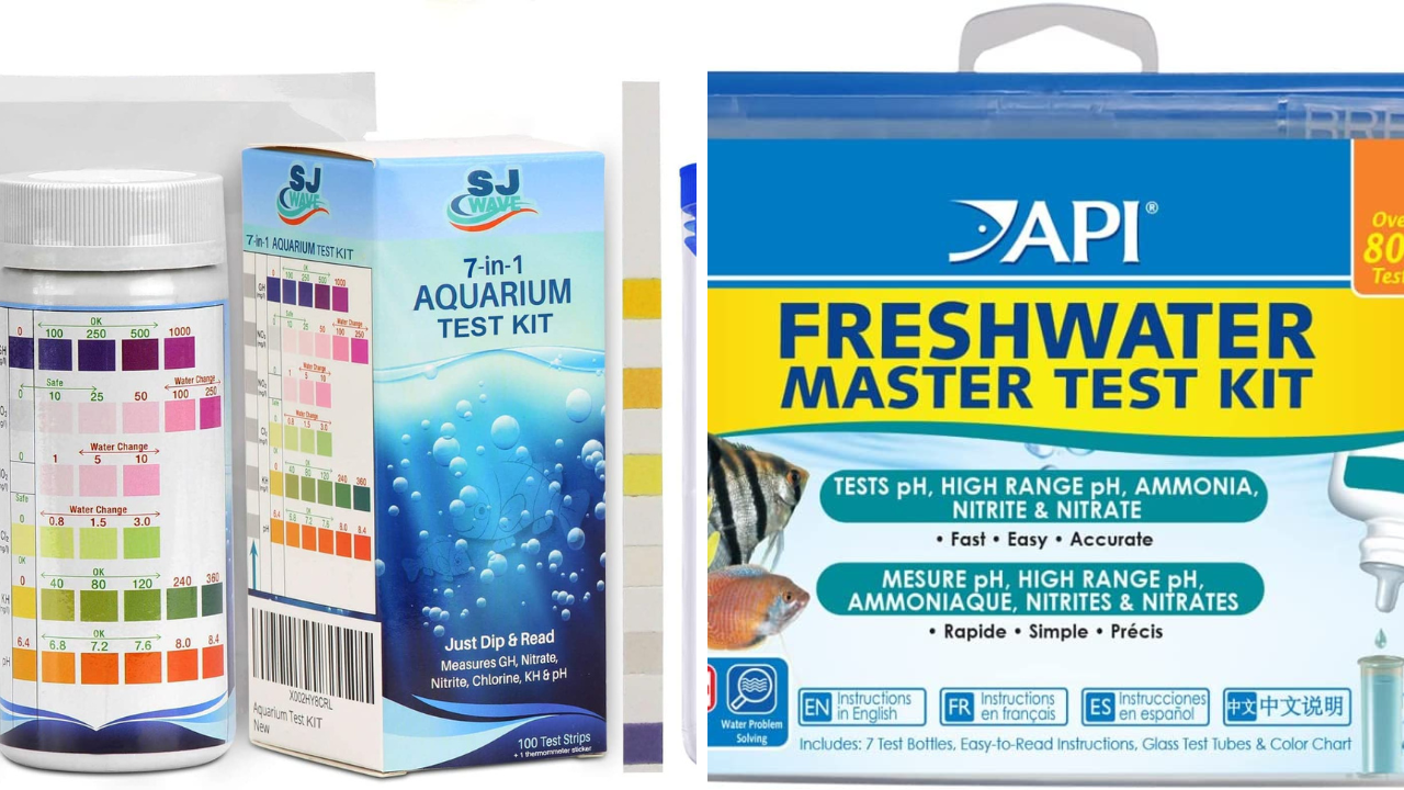 Is Your Aquarium Water Safe? Find Out with a Comprehensive Water ...