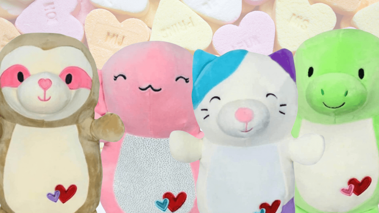 To Love & Hug! Top 6 Rare Squishmallows Hug Mees Valentines!