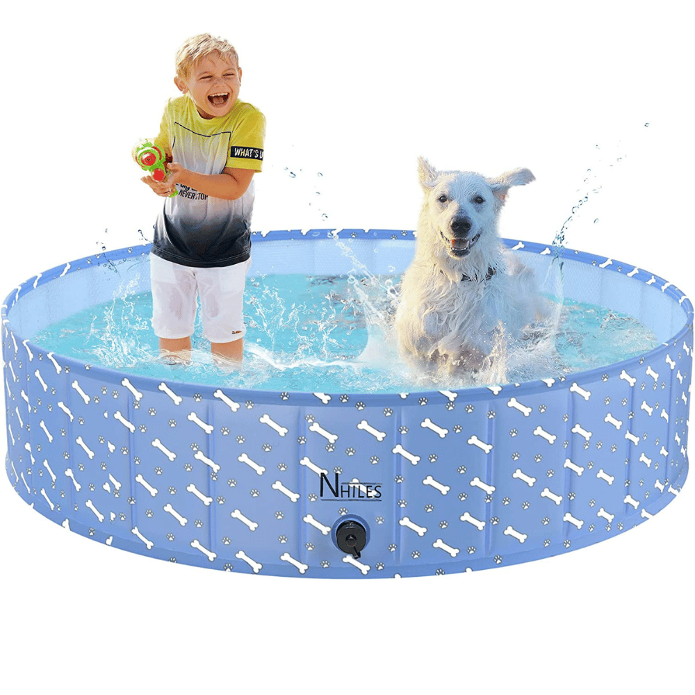 Splish Splash Doggy Fun: The Best Dog Swimming Pools Reviewed