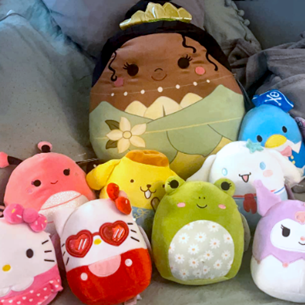 Royal Review of the Best Disney Princess Squishmallows!